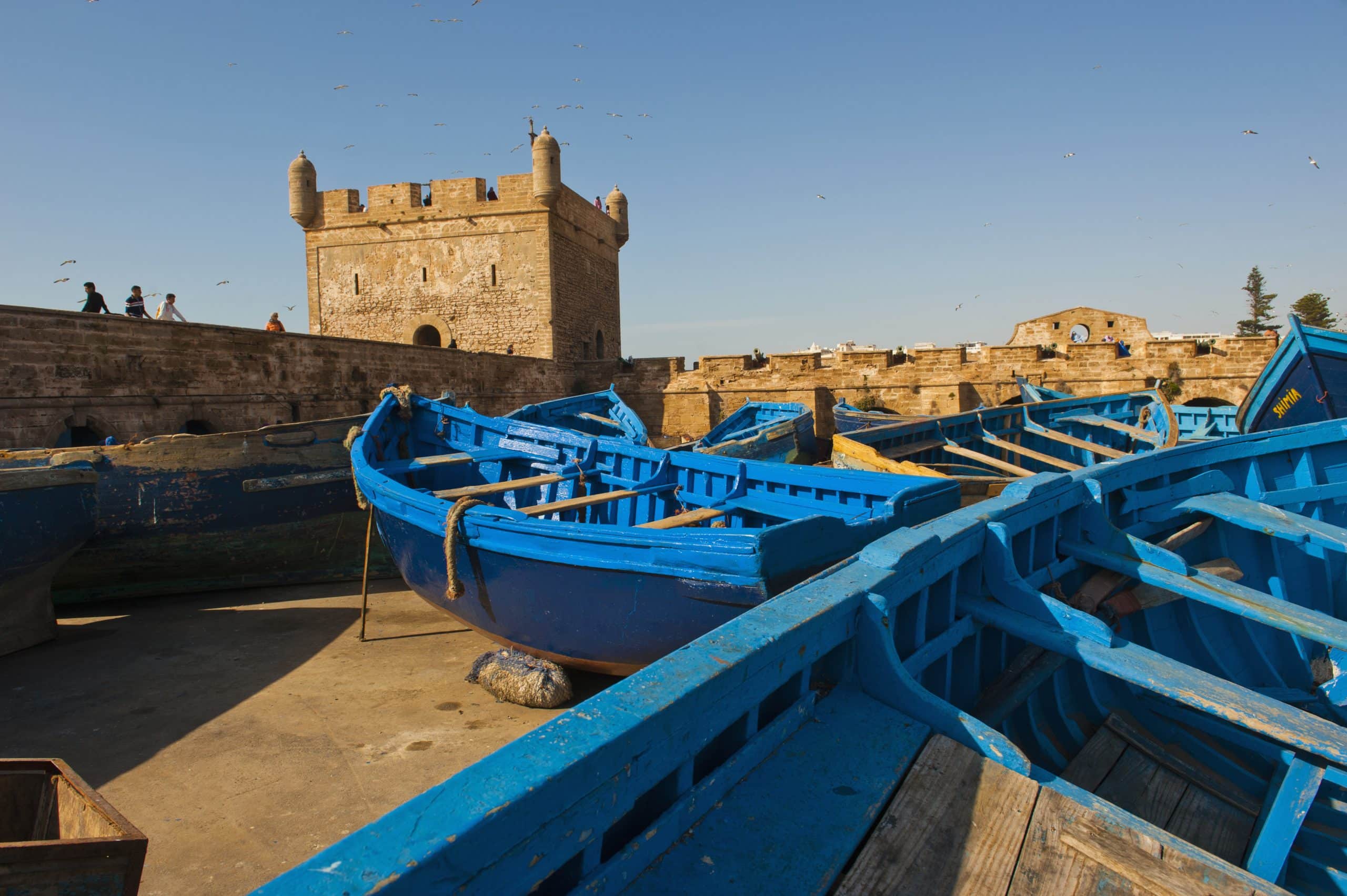 Essaouira : Que faire, que voir, où dormir ? Guide complet 2025